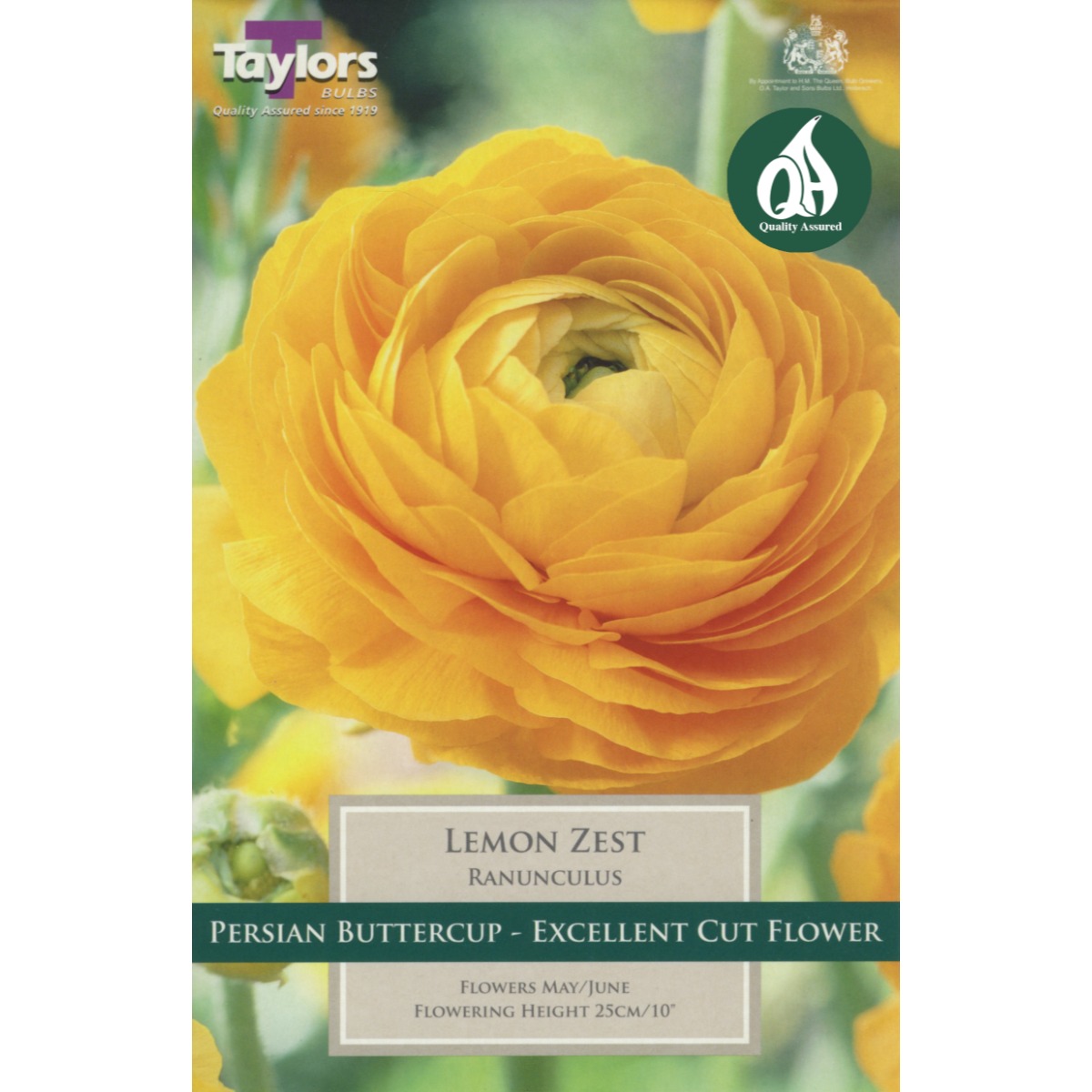 Ranunculus Lemon Zest from Dundry Nurseries.